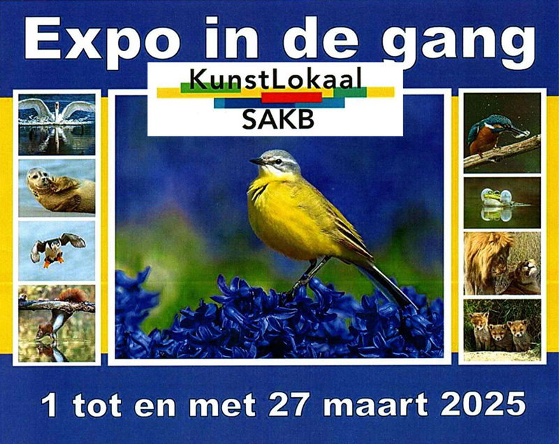 Expositie: foto’s van dieren van Jasmijn Fotografeert – Fotoclub FVGVB