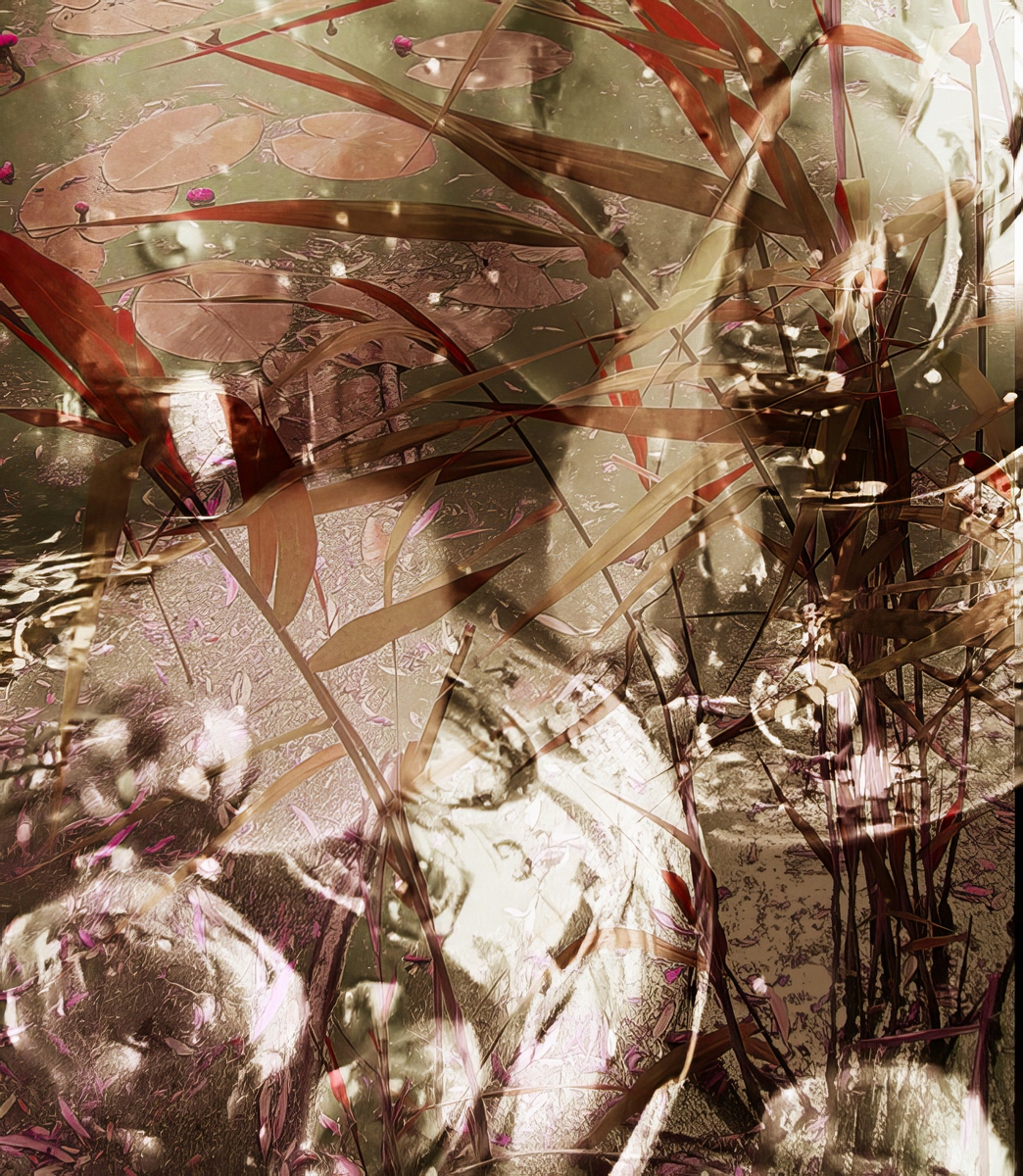 2024-2025 – clubwedstrijd – thema meervoudige belichting – Fotoclub FVGVB